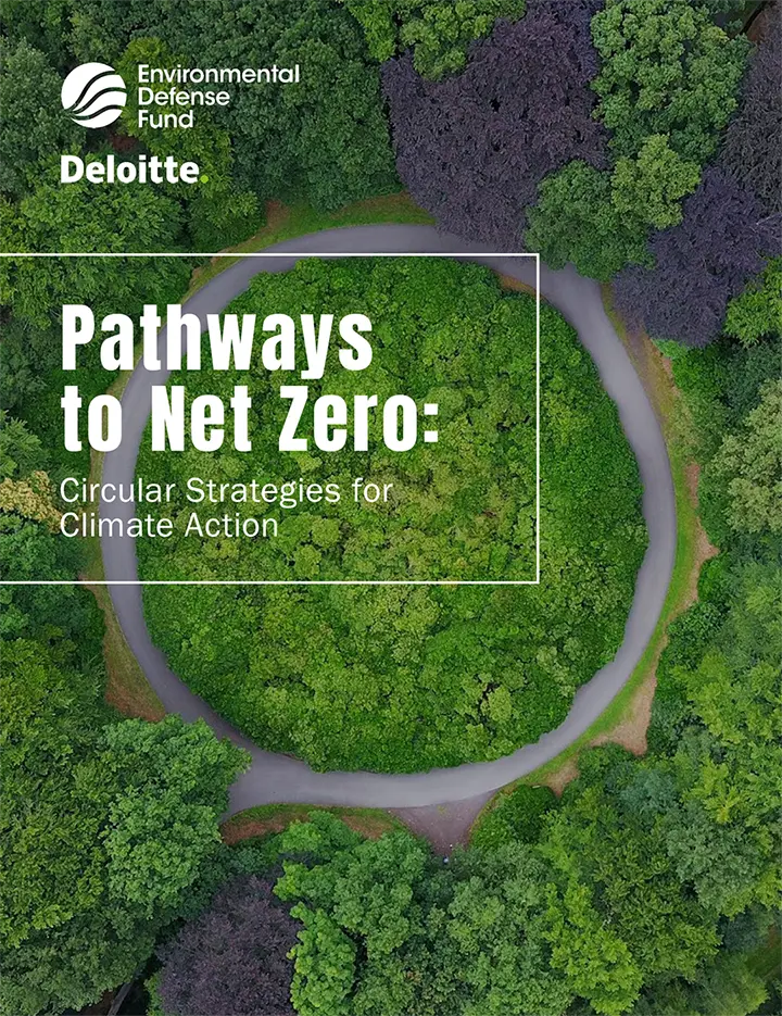 Pathways to Net Zero: Circular economy strategies for climate action ...