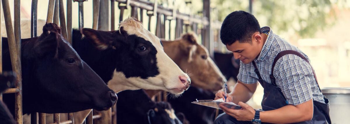 EDF Climate Corps Launches Food and Agriculture Pilot Program - EDF ...