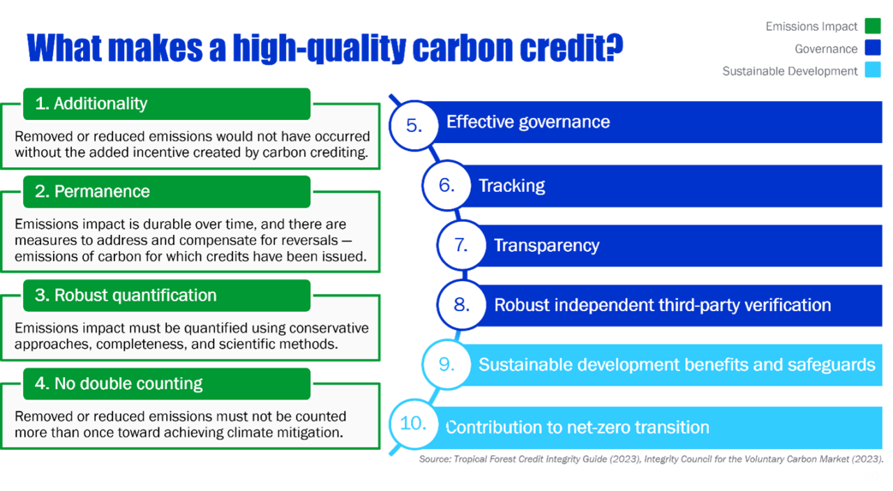 Carbon credits 101 for investors - EDF+Business